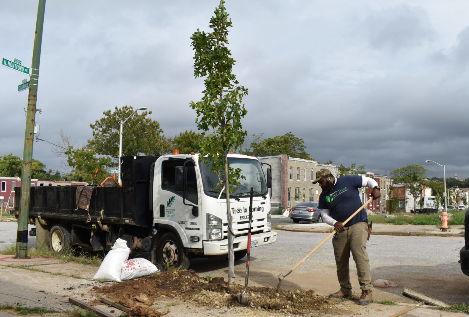 Baltimore Tree Trust - The Abell Foundation